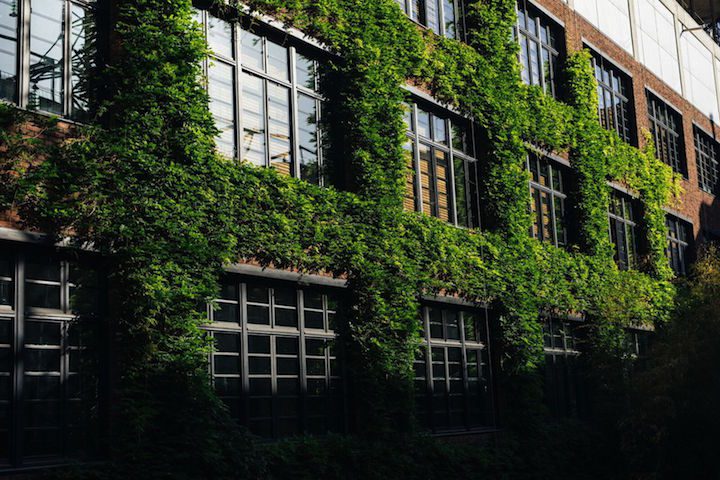 "Stamba” hotel and coworking center - Smart House Georgia